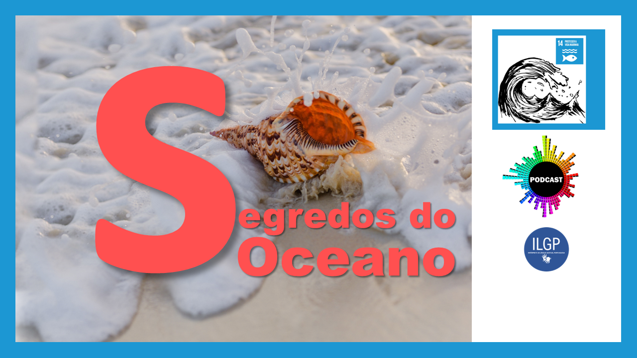 Segredos do Oceano | Episódio 12 | Estudo Autónomo